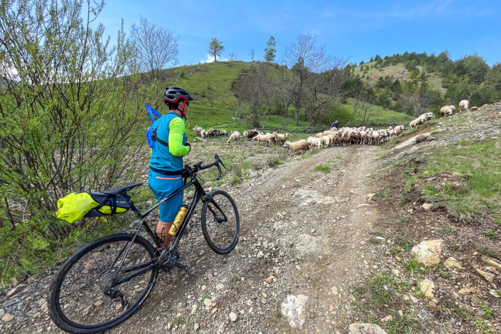 Serbia’s Section of the Trans Dinarica Cycle Route is Complete - Trans ...