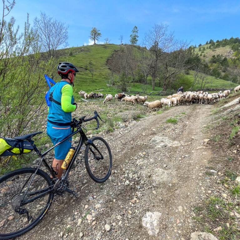 Serbia’s Section of the Trans Dinarica Cycle Route is Complete - Trans ...